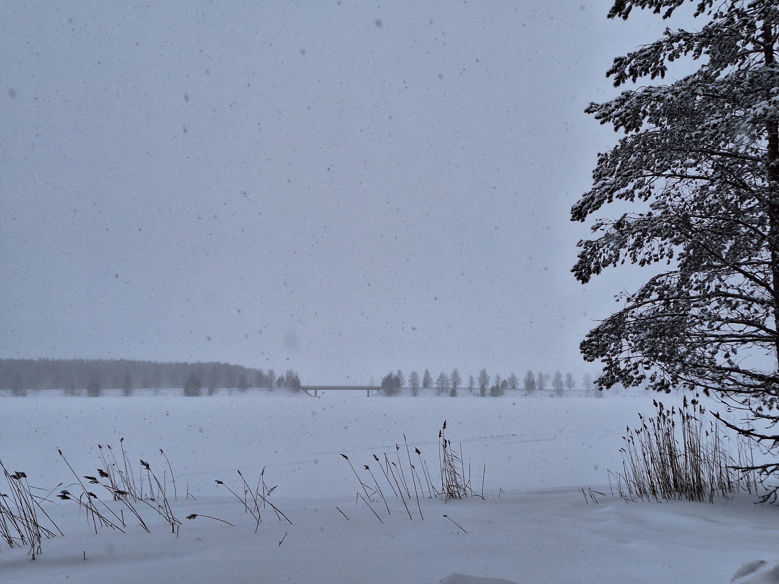 Suurten tarinoiden kylä - Visit Kannonkoski